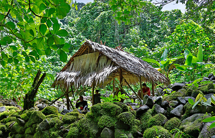 A Week on Kosrae – Where's Fran?